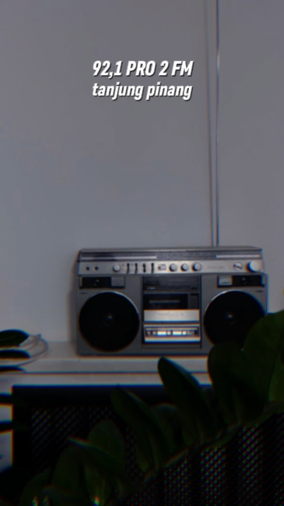 Radio Static Effect - Pippit