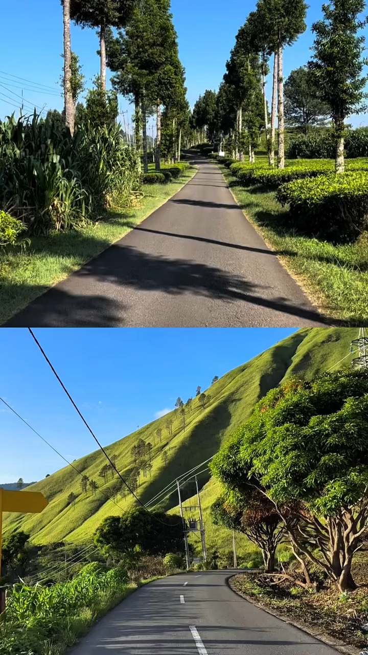 Double Video Overlay 1 Screen - Pippit