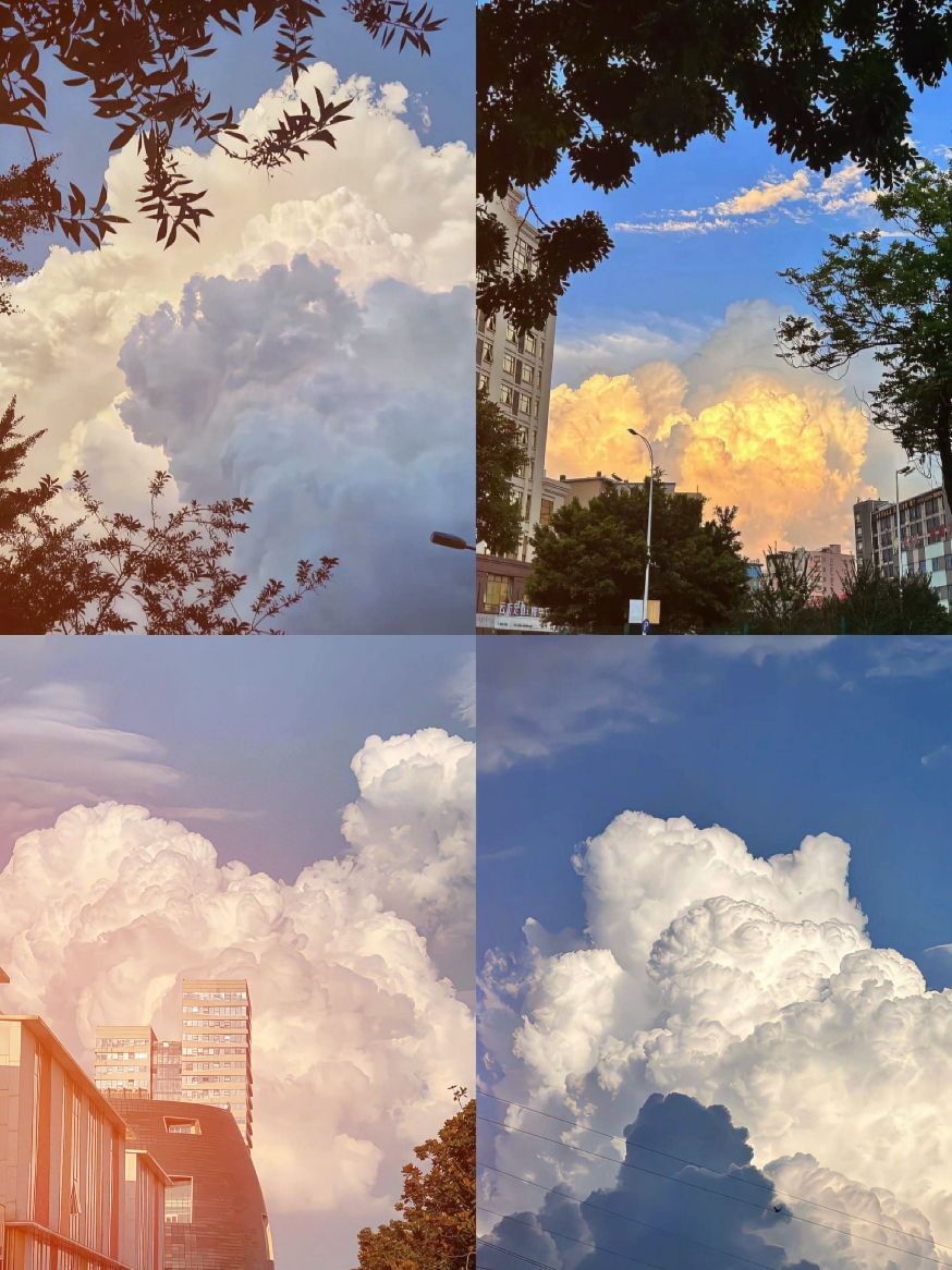 CapCut Natural Template - Pippit