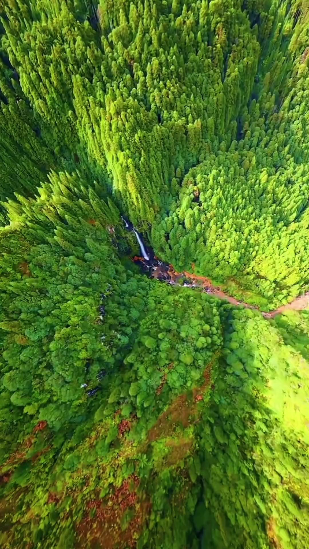 Memory Effect Template - Pippit