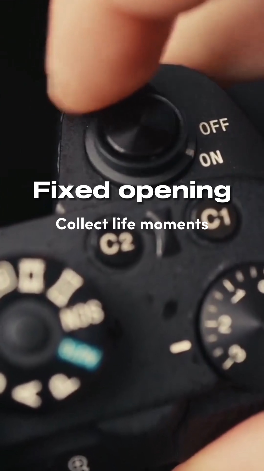 Multiple Edition Templates - Pippit