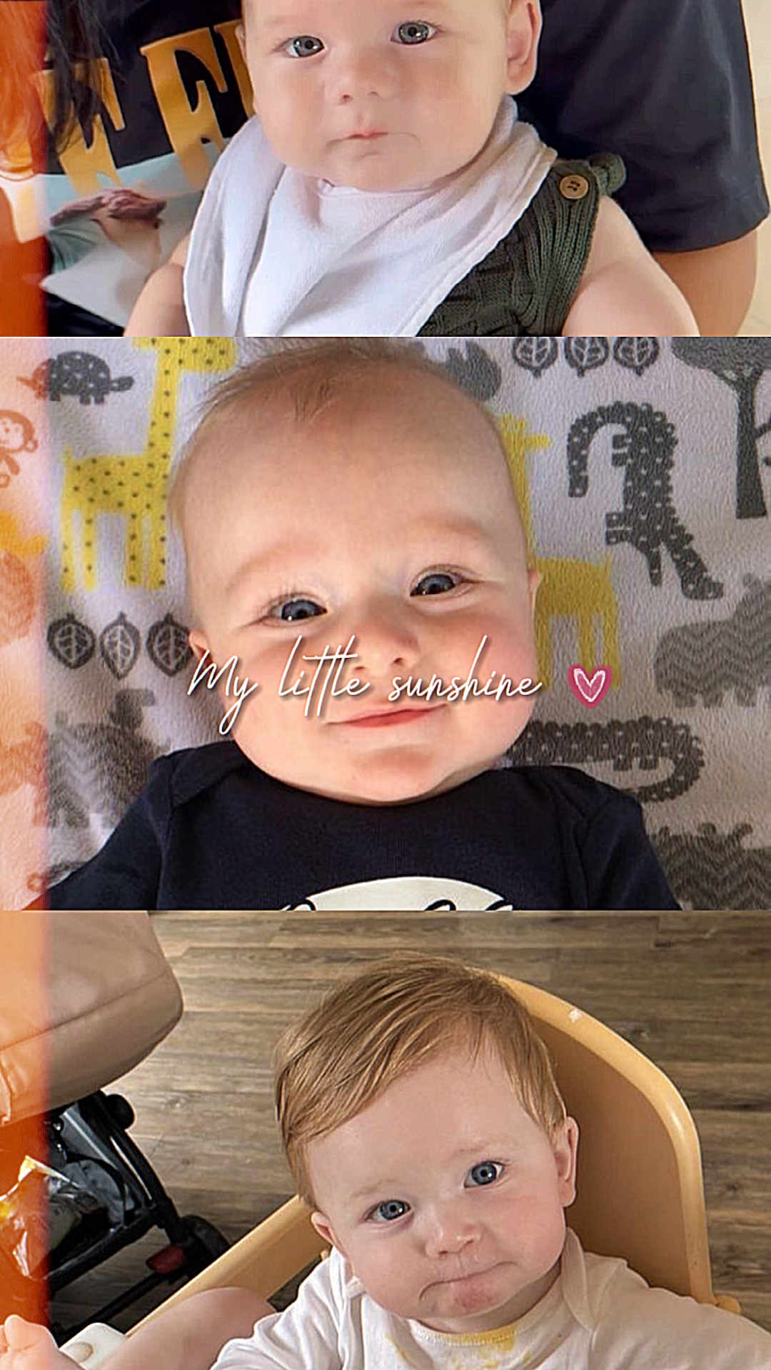 Templates for Little - Pippit