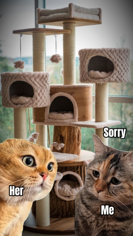 Memes Template Big Cat - Pippit