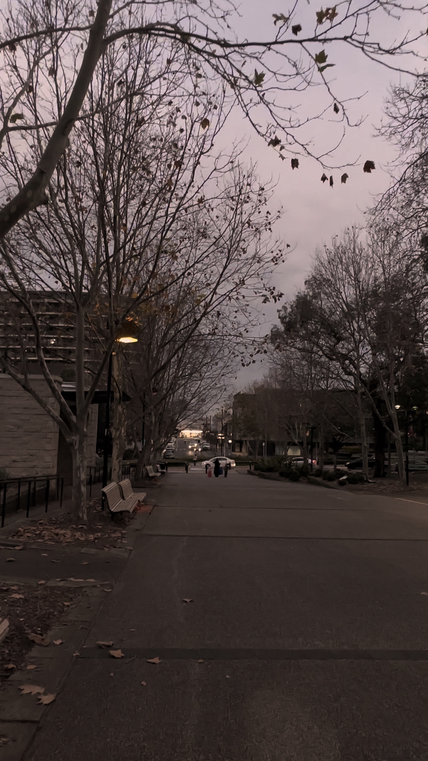 Templates for Inside Yoga Video Clips 1 - Pippit