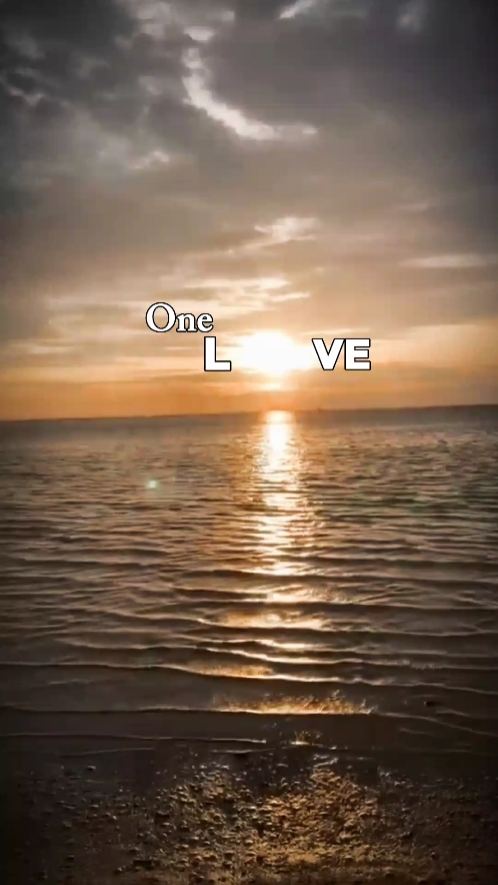 one love audio template - Pippit