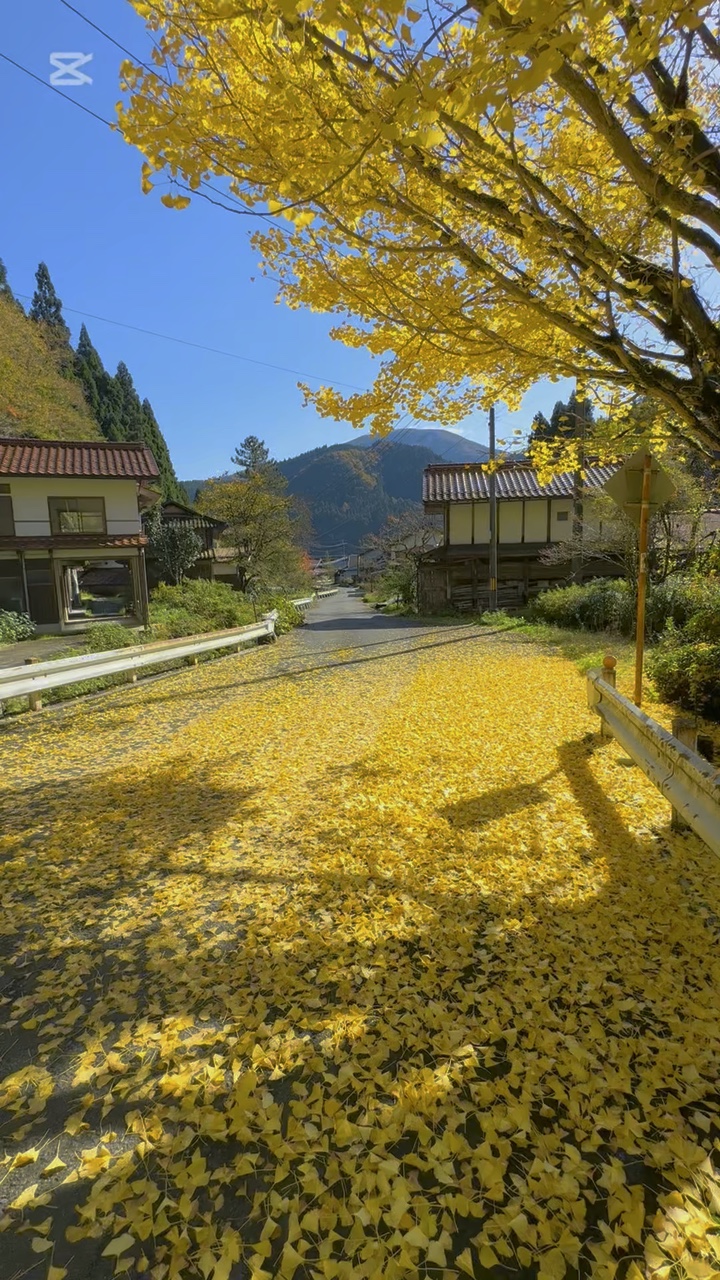 Yellow Glow Effect - Pippit