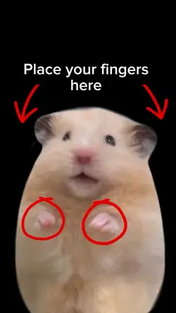 Scared Hamster Meme: Discover the Funniest Reactions Online