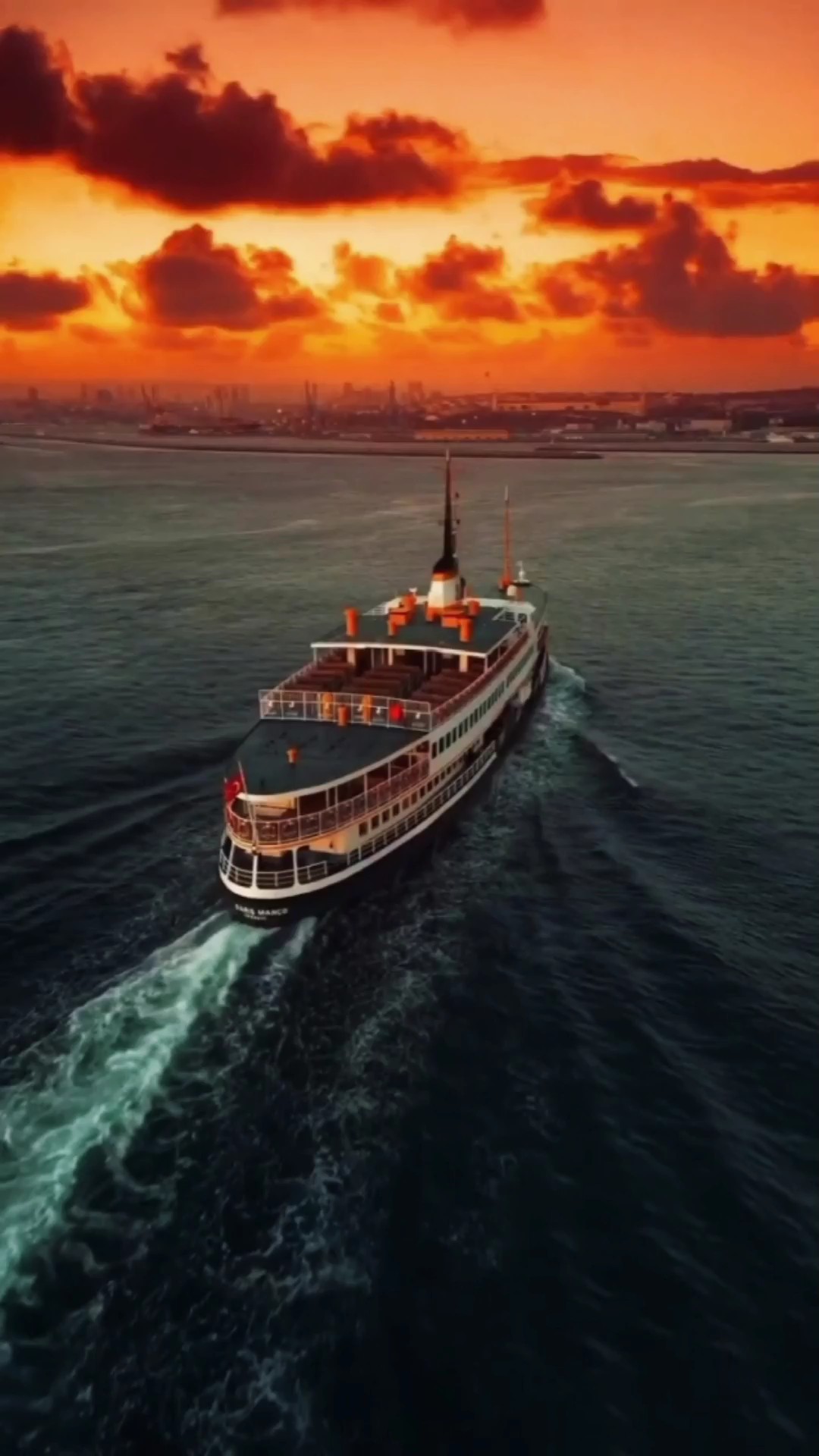 Templates for Edit Videos - Pippit