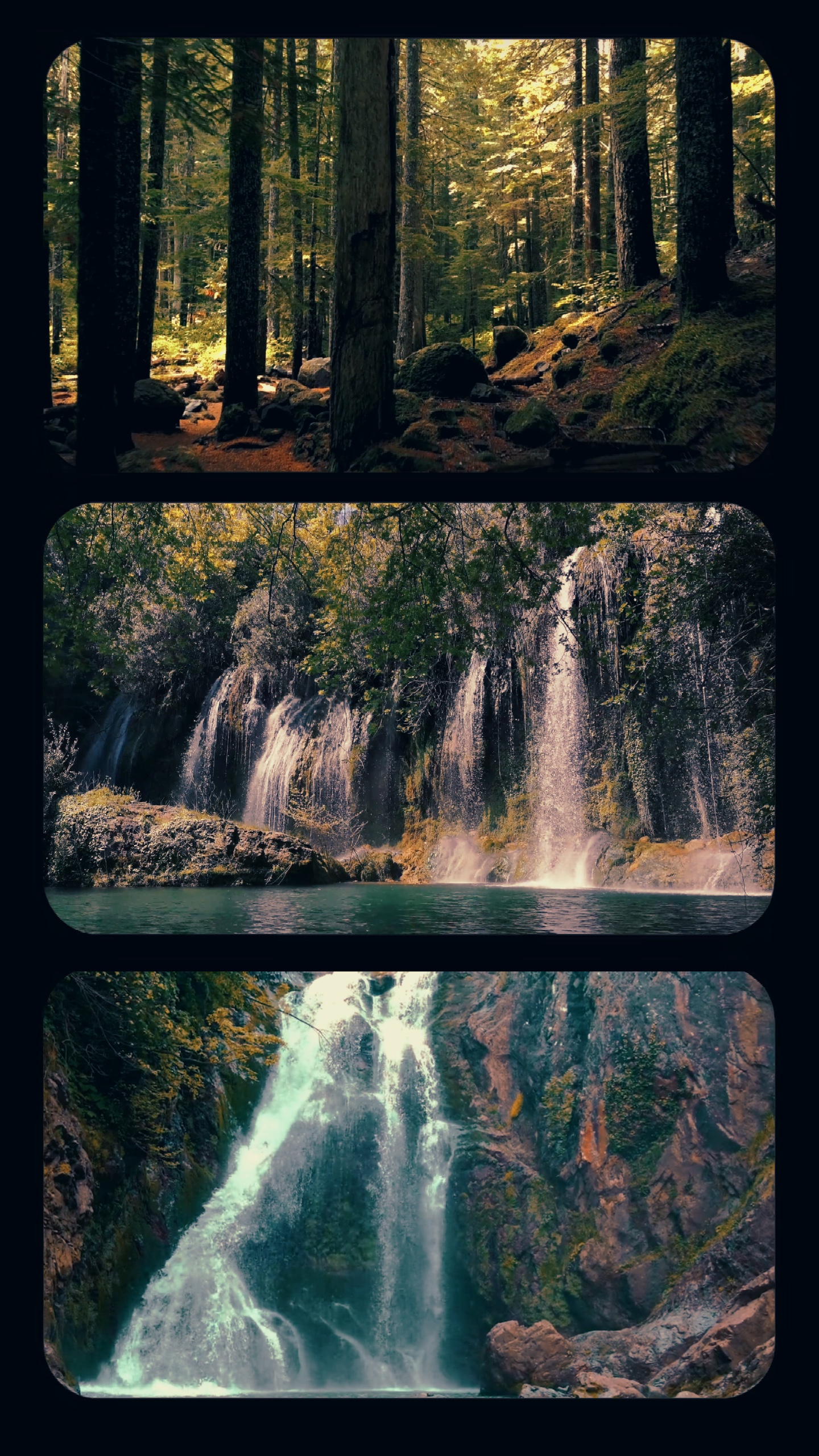 Cutout Frames Video Template - Pippit