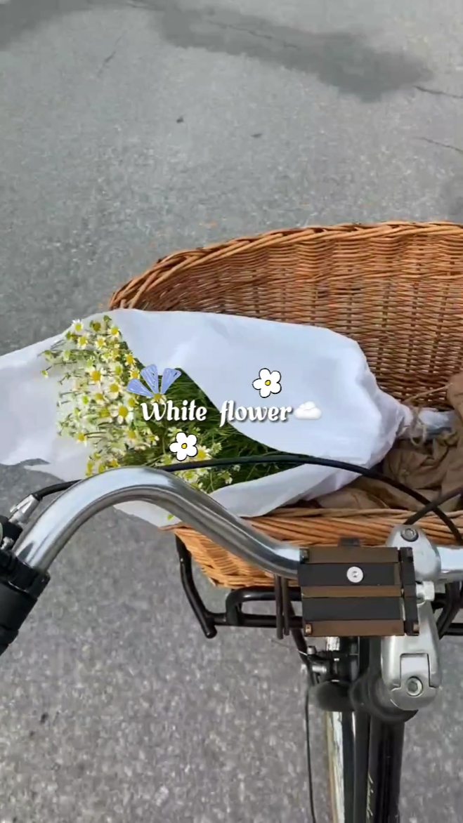 Flower Nostalgic Template - Pippit