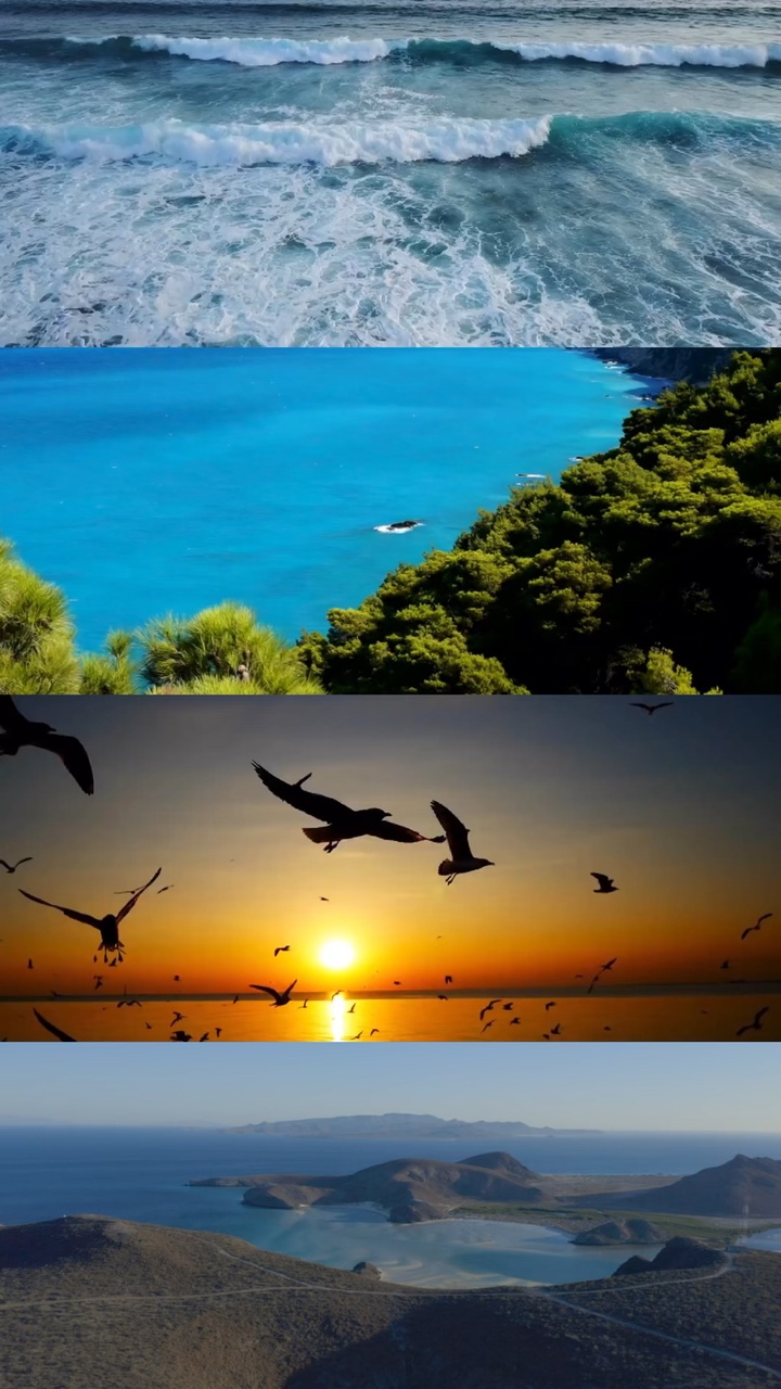 Plain Frame Video Template - Pippit