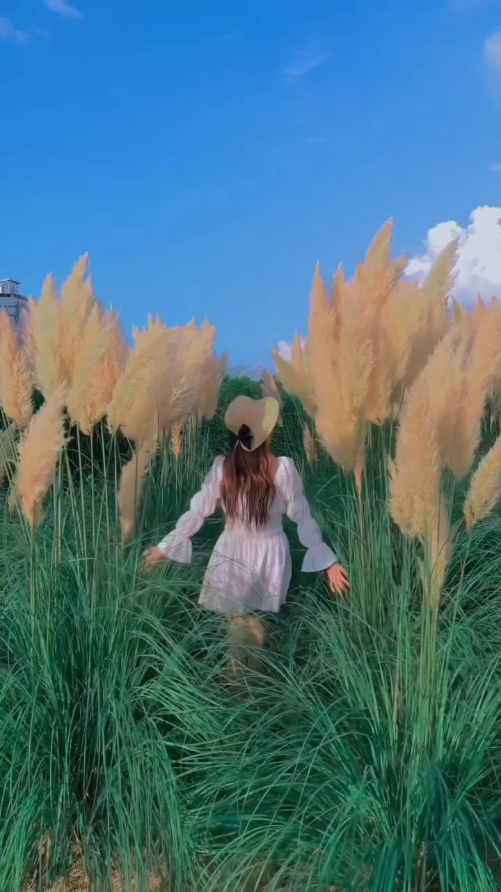 Blooms Song Template - Pippit