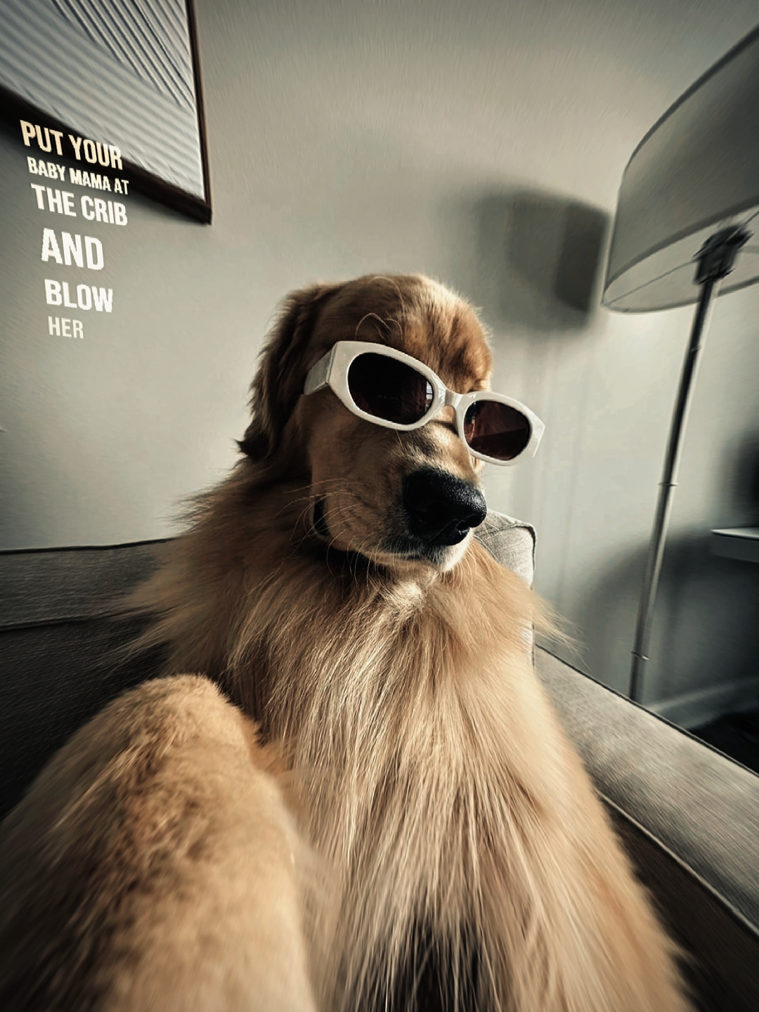 One Cool Templates - Pippit