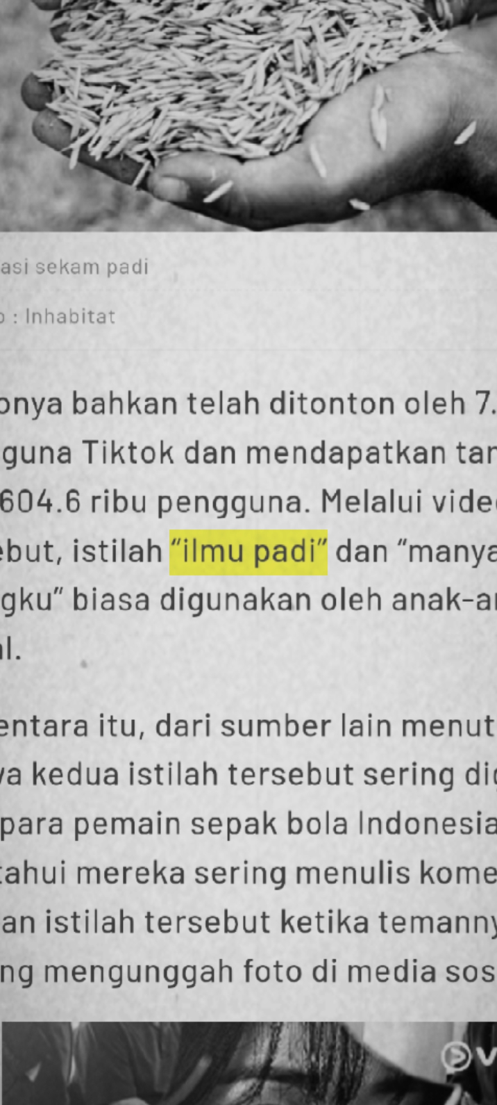 Text Match Cut - Pippit