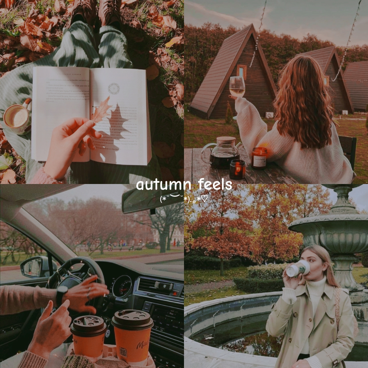 dti fall autumn theme - Pippit