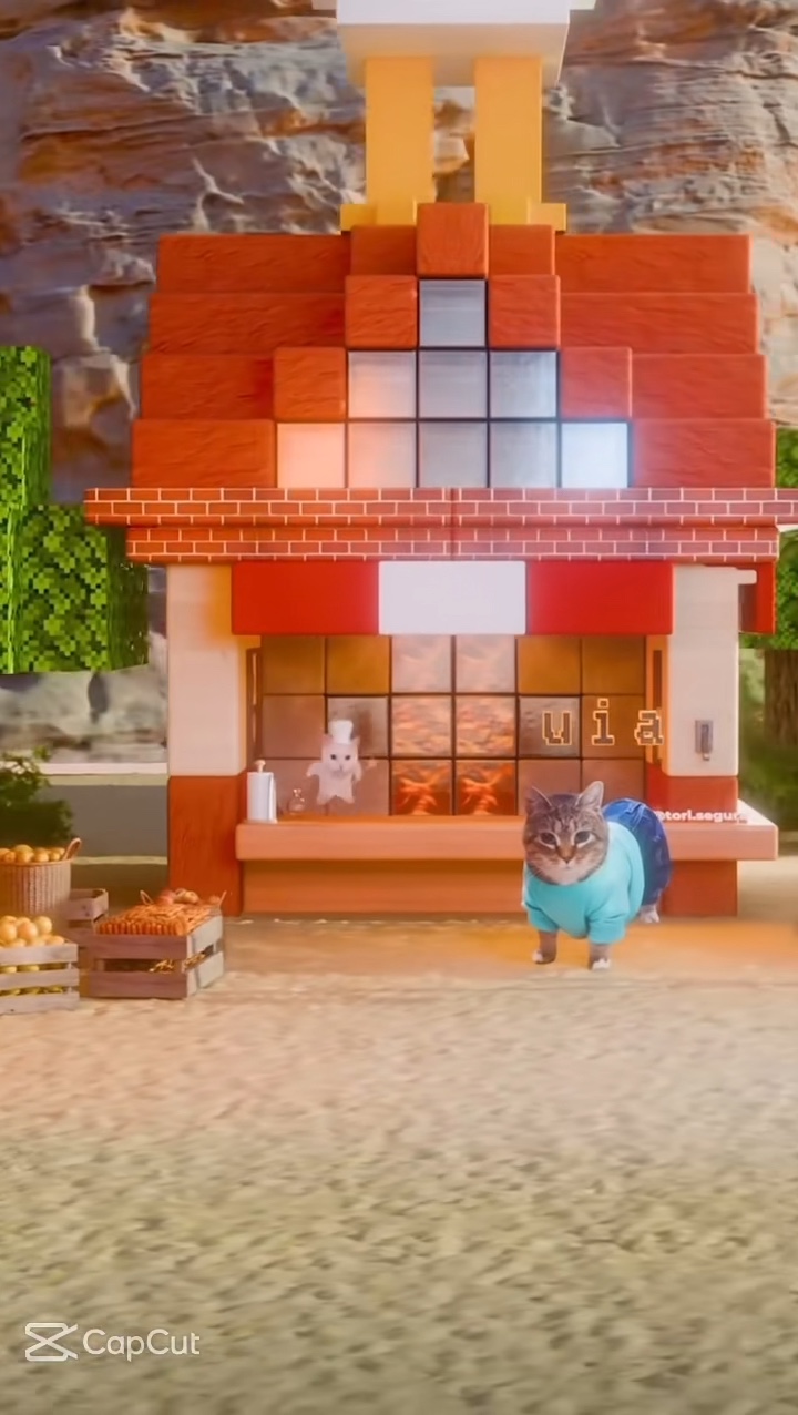Lava a cat - video template by CapCut