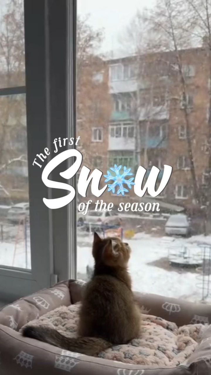 Snow Effect Mountain - Pippit